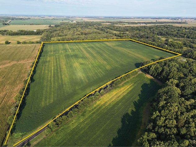 Parcel 1 - Henry Co., IL - 41.16 Ac., m/l (100-0219-01)