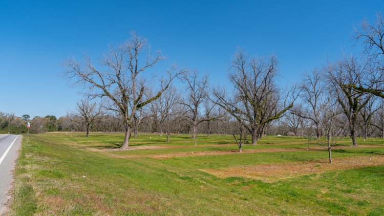 Forrester - 3.68+/- Acres
